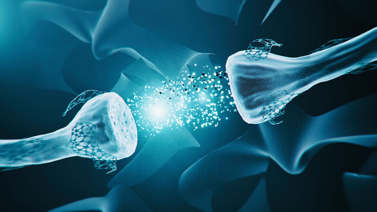 The GABAA Receptor System | Gabather